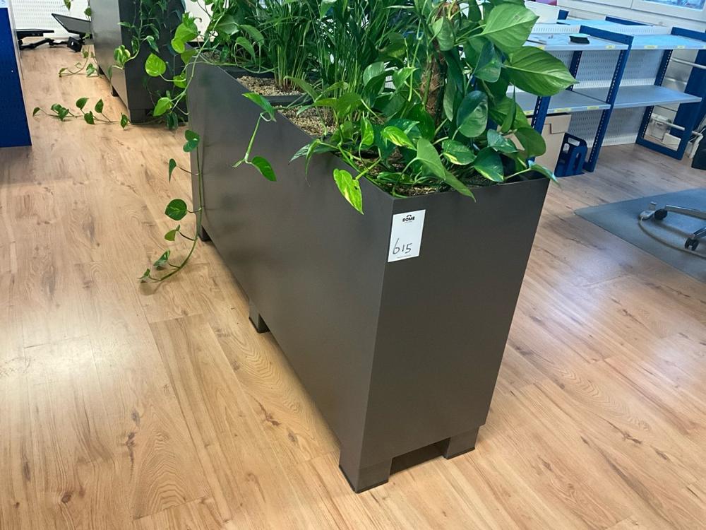 Planter (2x) | Dome Auctions